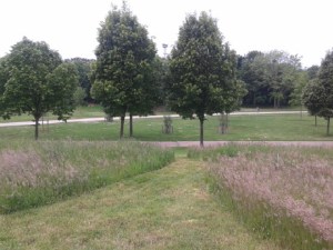 Le fauchage des prairies – L'écologie des jardiniers